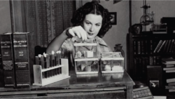 Biography – Hedy Lamarr